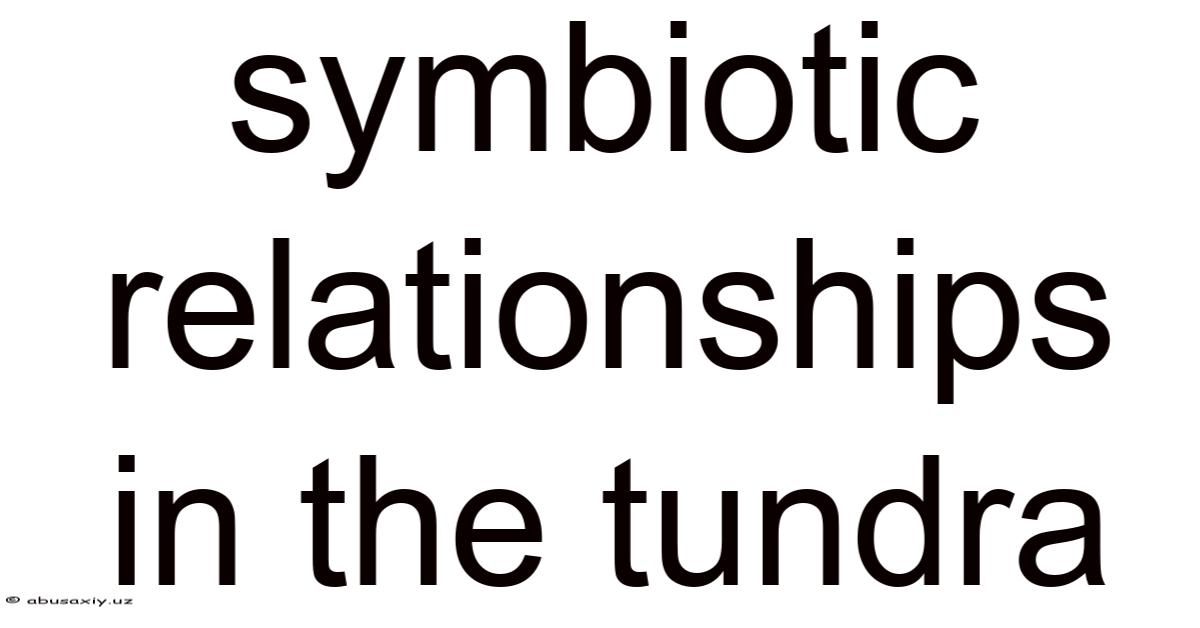 Symbiotic Relationships In The Tundra